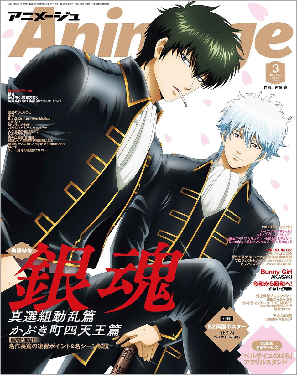 Animage - Anime Magazine shipping from Japan– TWINHIVE